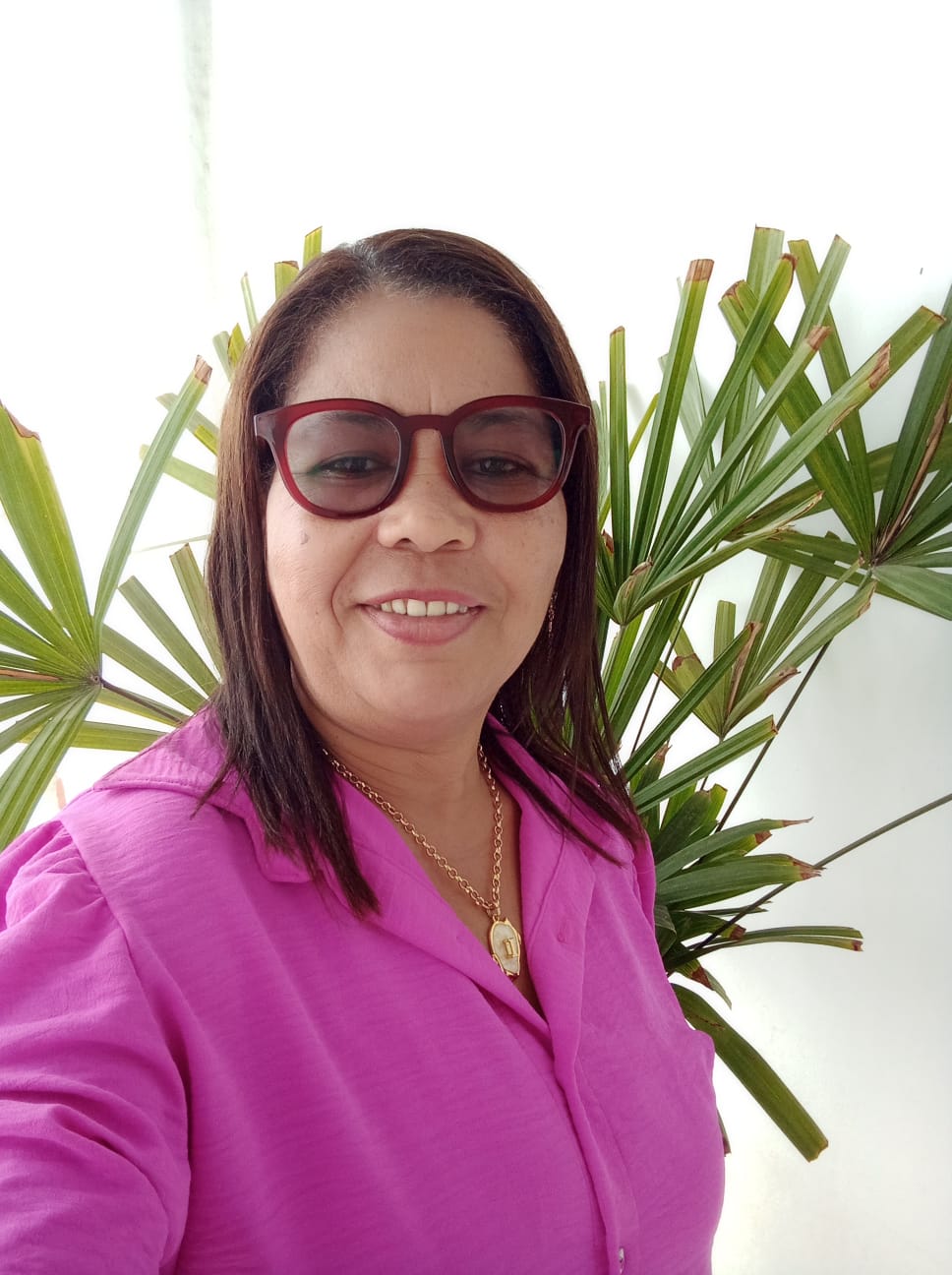 Diretoria Administrativa e Financeira - Instituto de Previdência de ...
